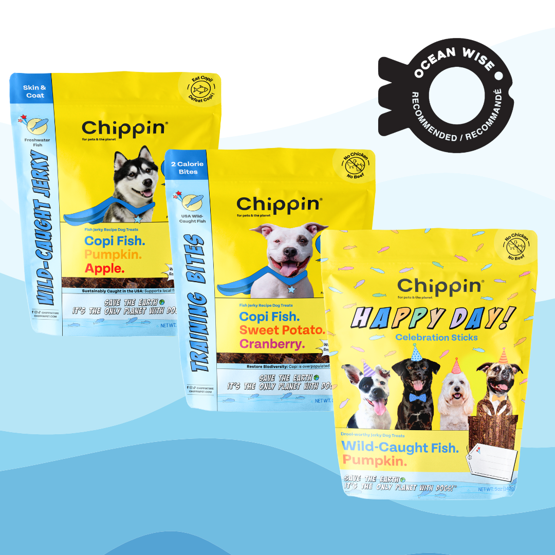 All Products – Chippin