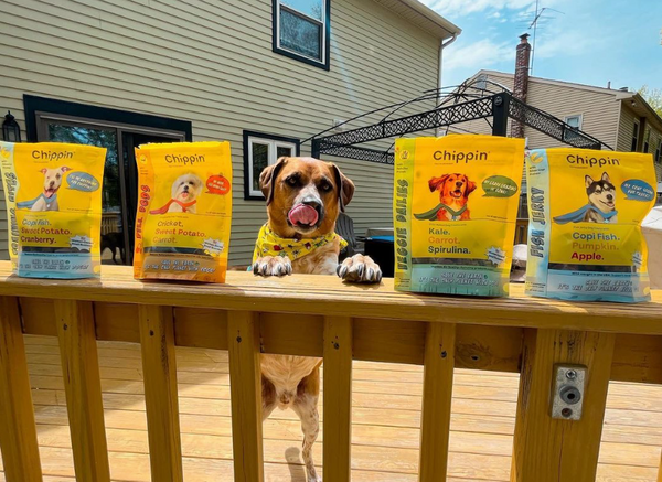 Dog Treats with High-Quality Protein | Chippin
