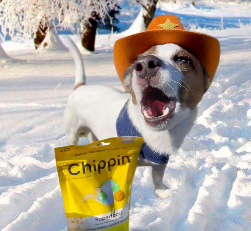 Dog Treats with High-Quality Protein | Chippin